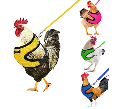 A LITTLE MORE – Two Chickens Homestead